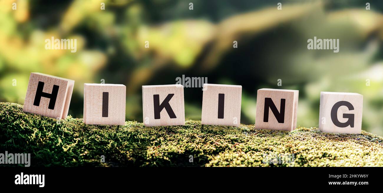 hiking word text on cubes on the background of forest and mountains ...