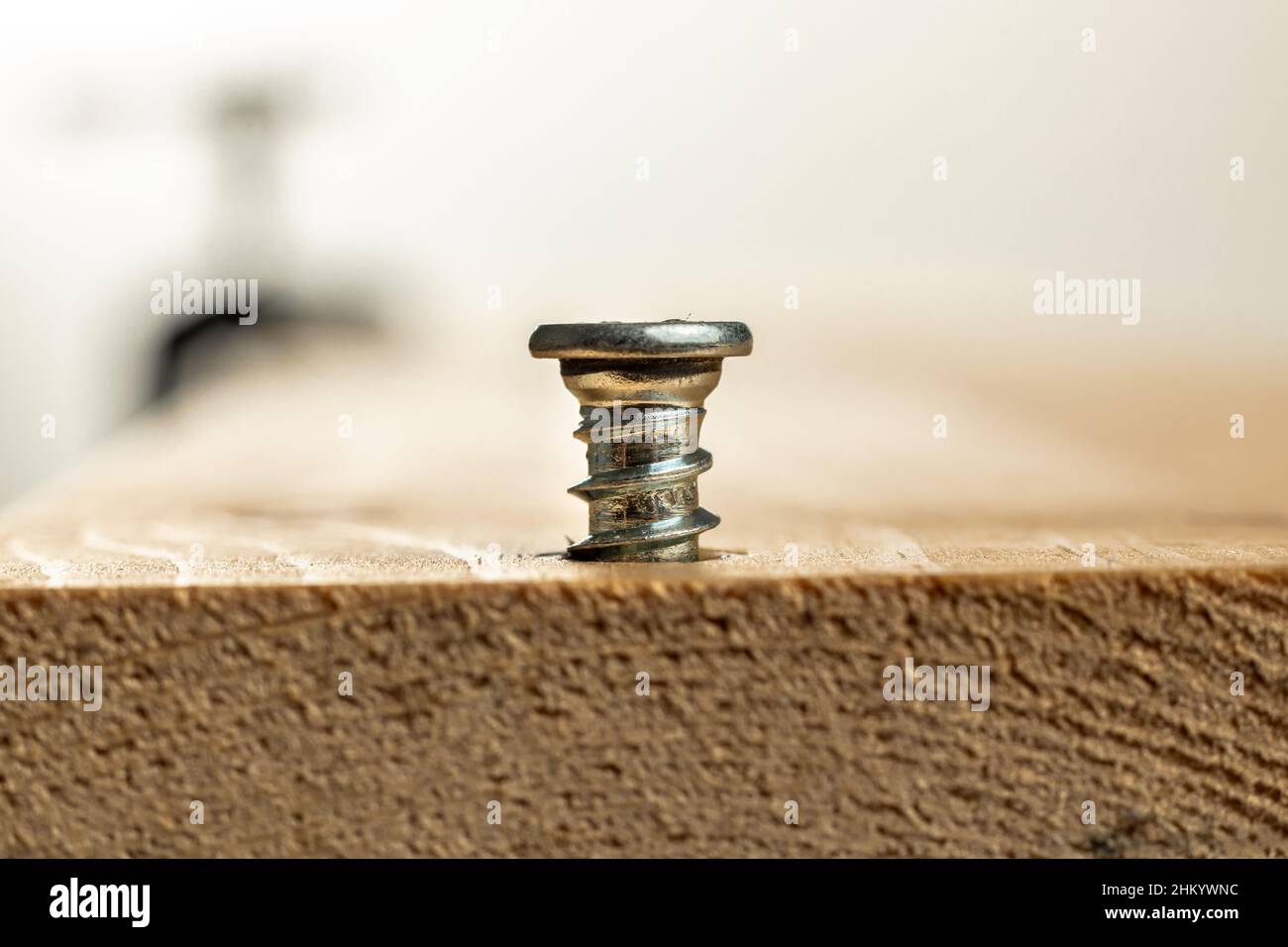 Closeup of screw being screwed into a wooden plank tightened by a clamp ...
