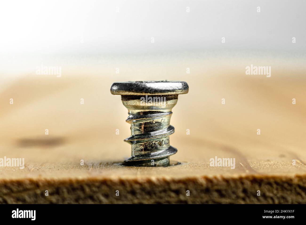 Closeup of screw being screwed into a wooden plank - macro shoot ...