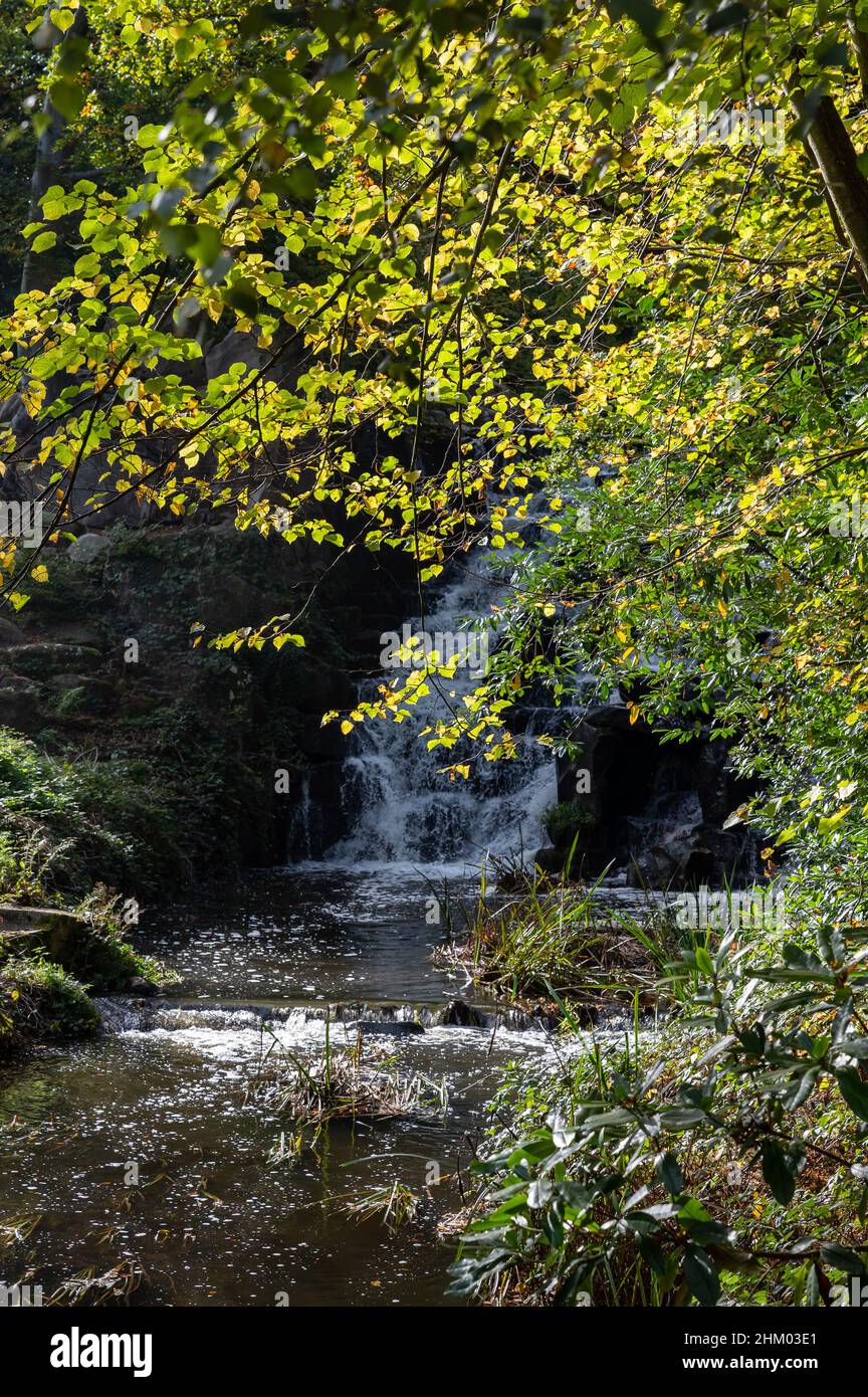 Waterfalls, Virginia Water - Windsor Great Park, London Stock Photo - Alamy