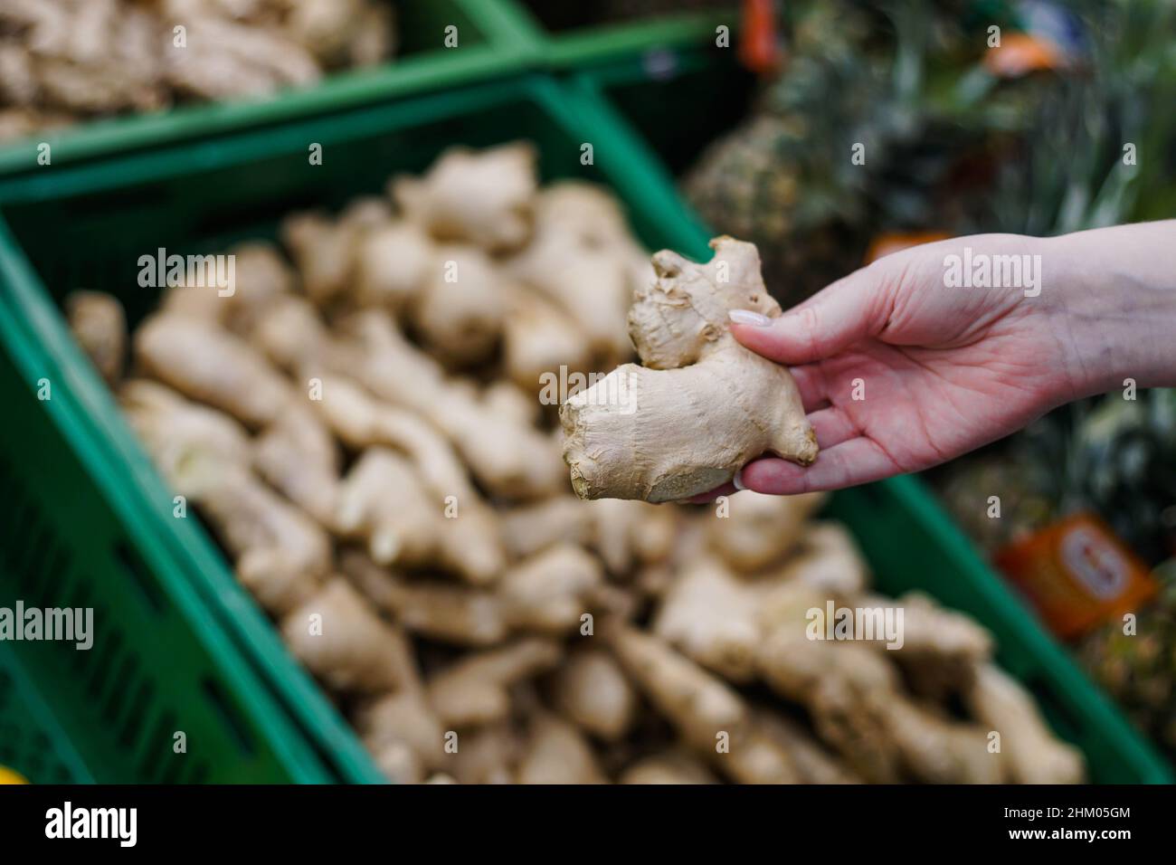 Woman choosing ginger in the supermarket. Close up of hand holding ...