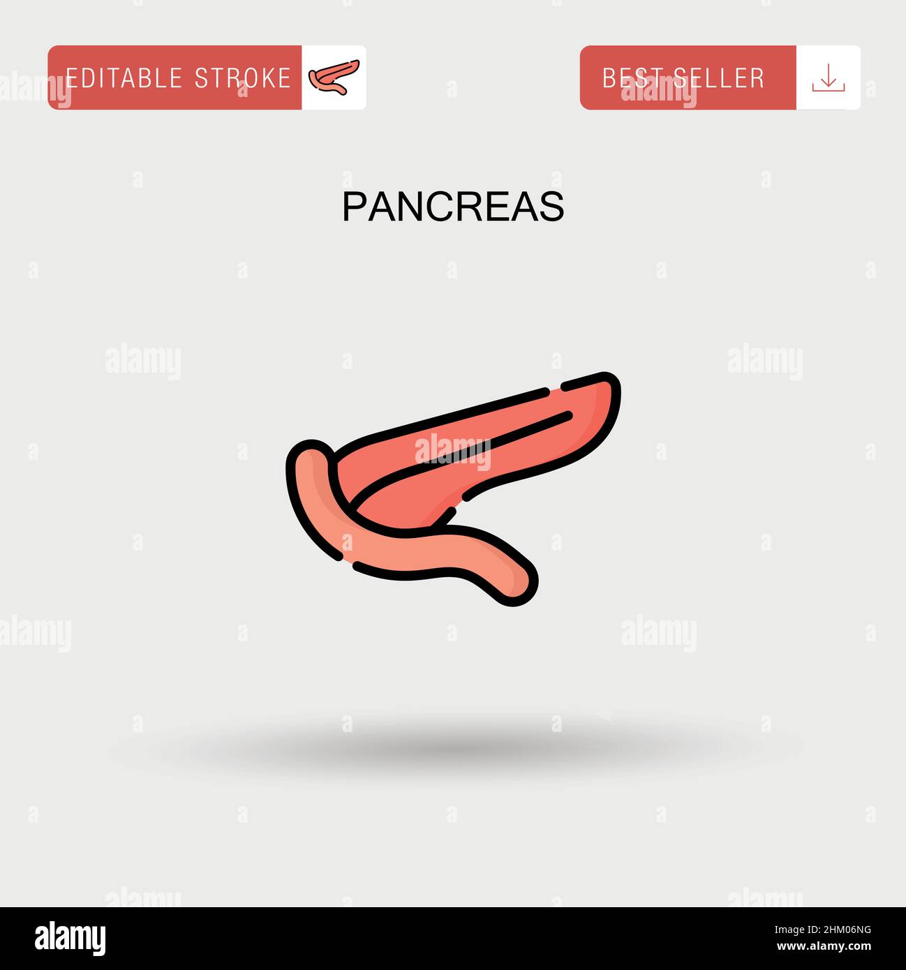 Human gallbladder and pancreas anatomy hi-res stock photography and ...