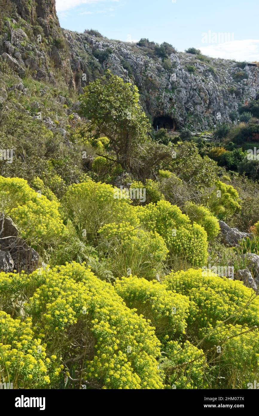 Nahal High Resolution Stock Photography and Images - Alamy