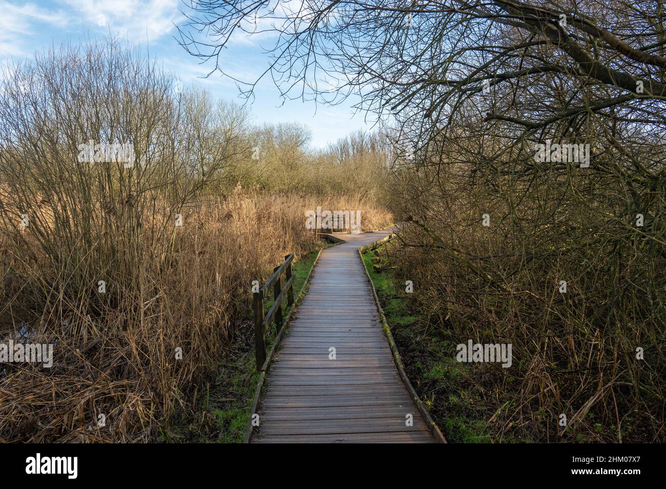 Board Walk on Titchwell RSPB site in North Norfolk England Stock Photo ...