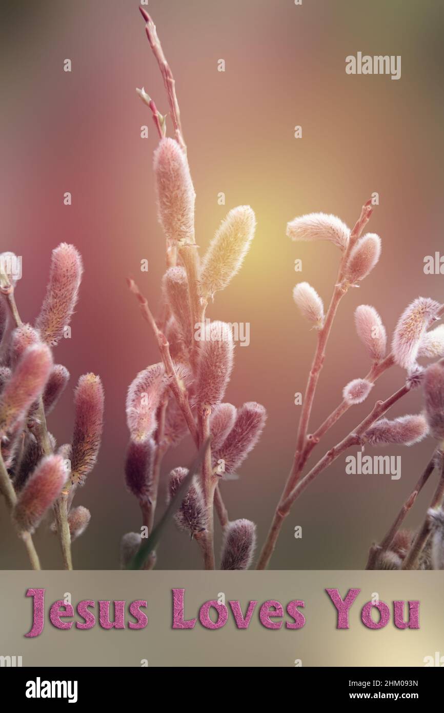 Jesus loves you text message. Easter or Spring background with ...