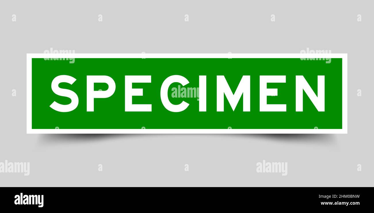 Sticker label with word specimen in green color on gray background ...