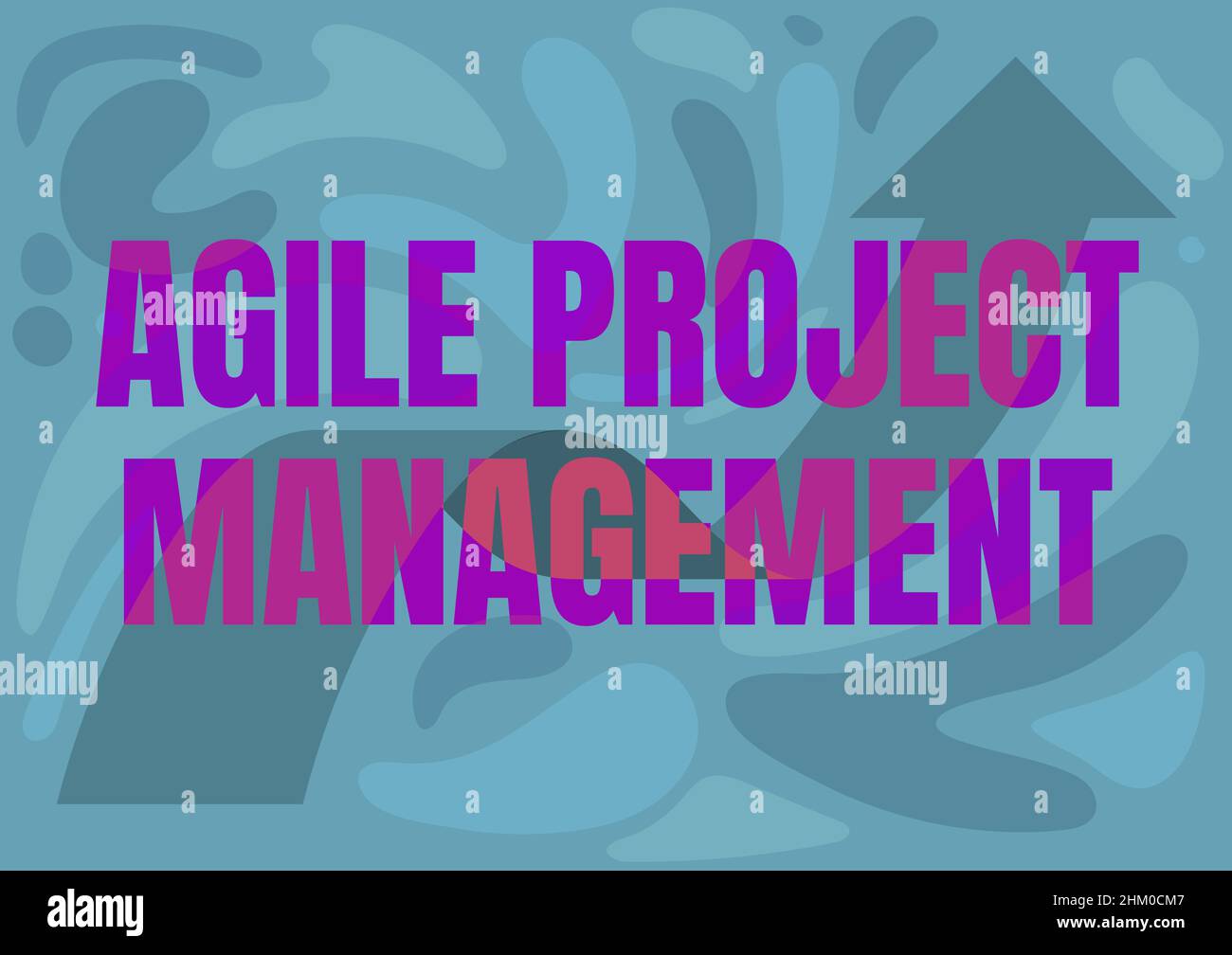 Inspiration showing sign Agile Project Management. Business approach ...