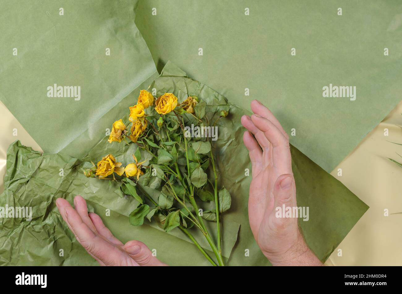 Two men's hands embrace wilting flowers. A bouquet of dying yellow ...