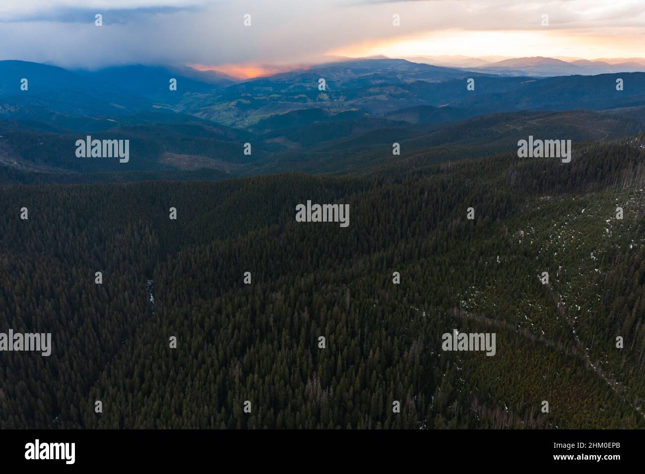 Boring tree tops hi-res stock photography and images - Alamy