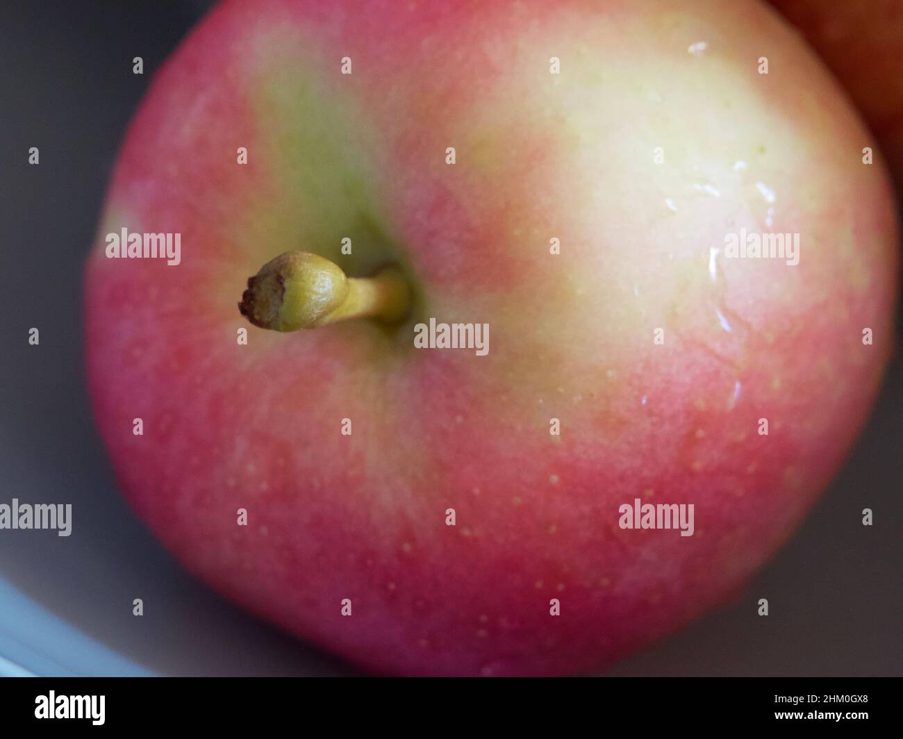 Ligol variety hi-res stock photography and images - Alamy