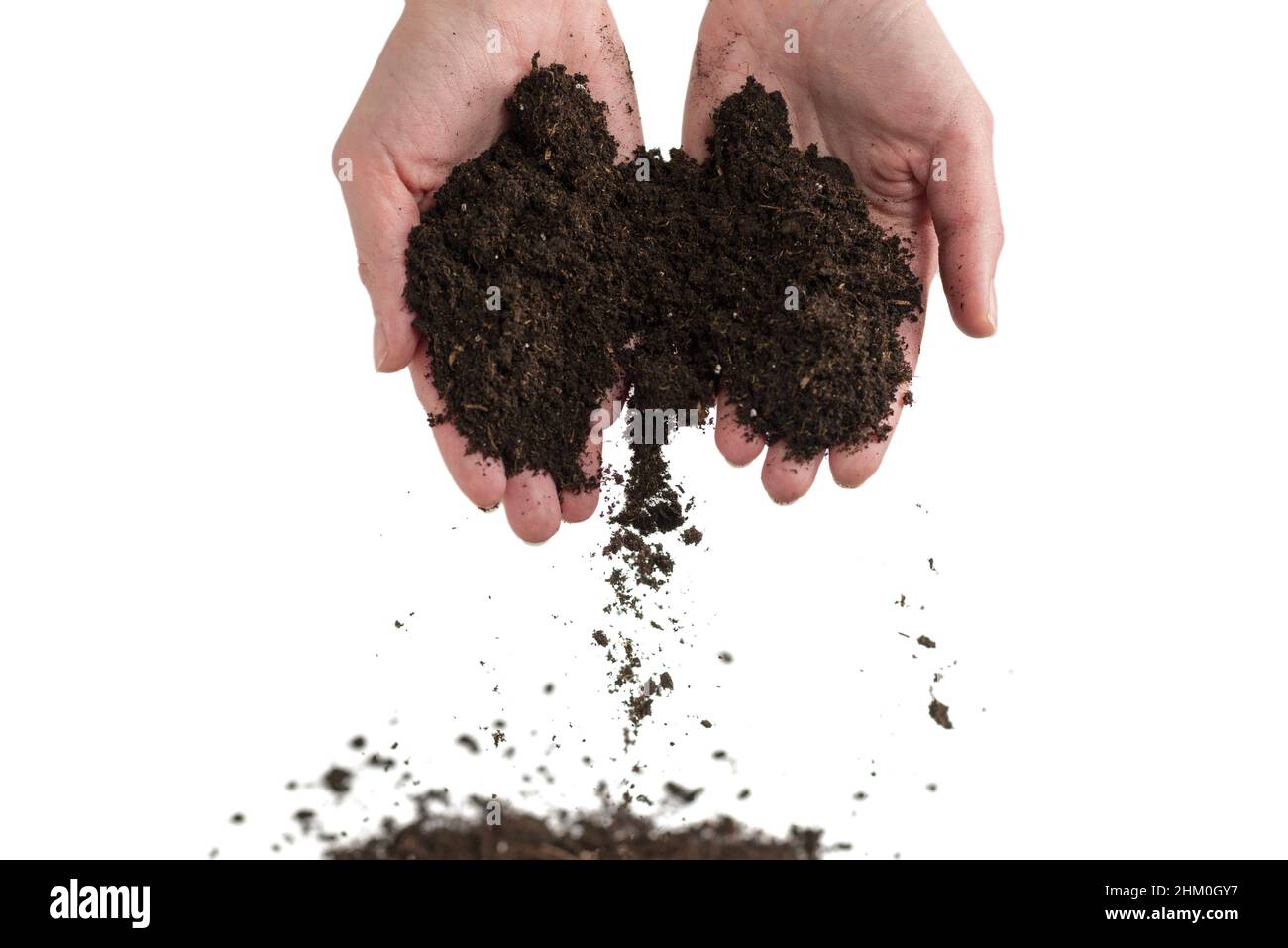 Brown soil in woman hands isolated on white background. The soil falls ...