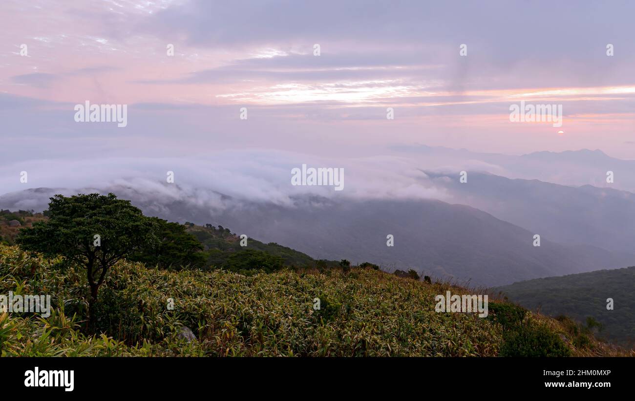 Sun rise with a sea of clouds in Tai Mo Shan, the highest mountain in ...
