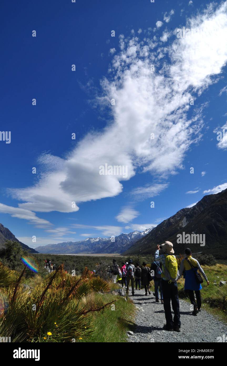 Walking in the Mount Cook, New Zealand Stock Photo - Alamy