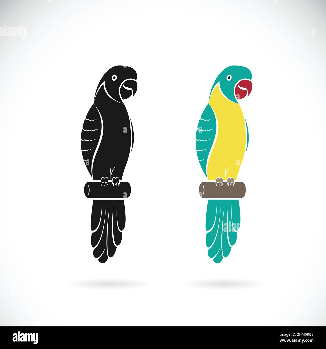 Vector of two parrot design on white background. Easy editable layered ...