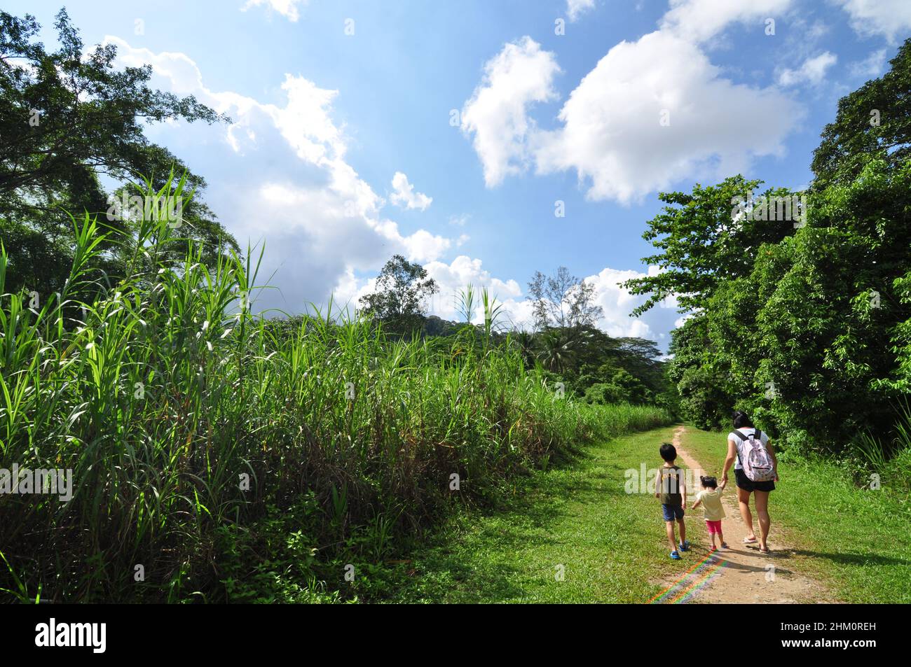 Family walk in the nature Stock Photo - Alamy