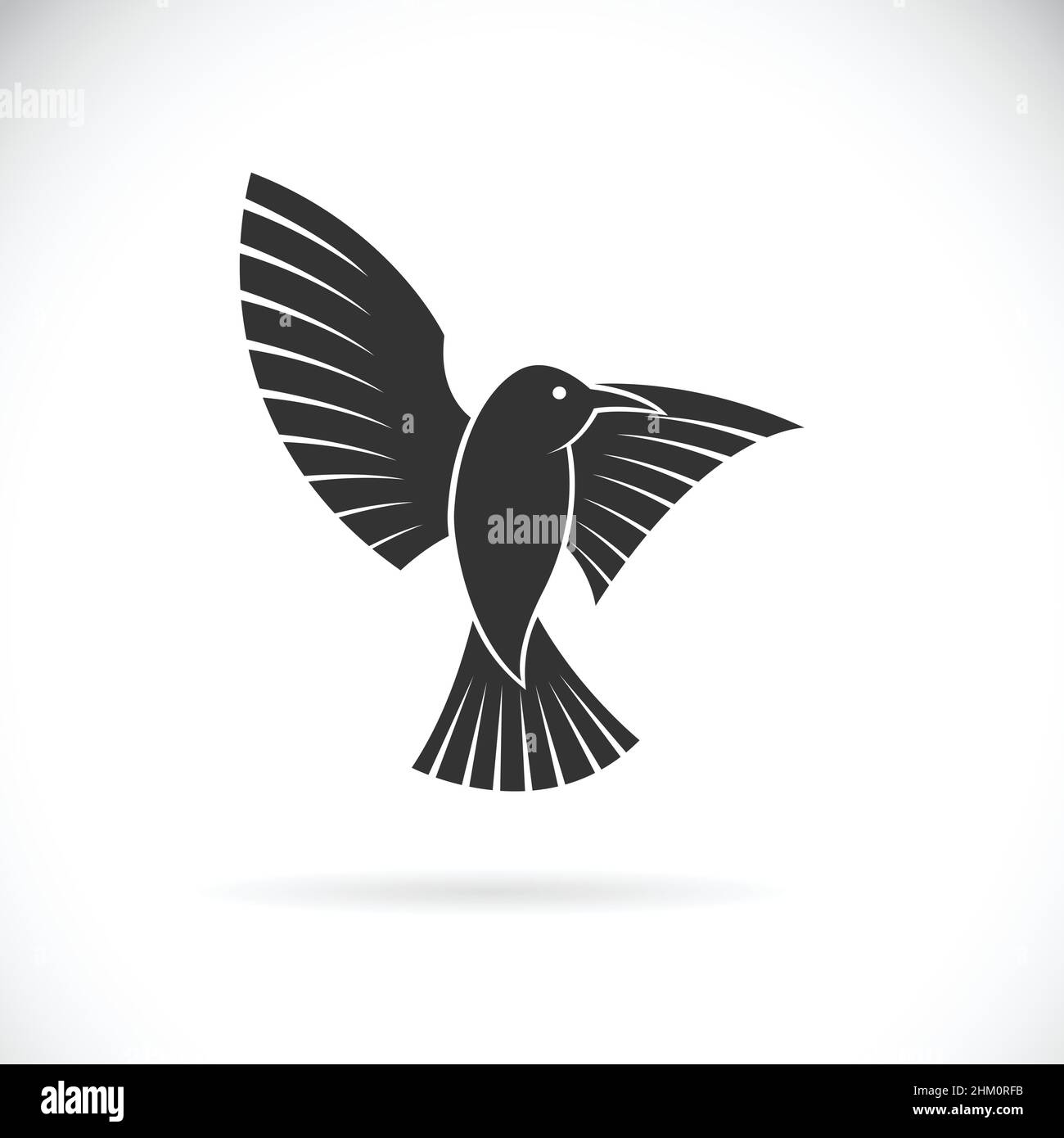 Vector of bird design on white background. Easy editable layered vector ...