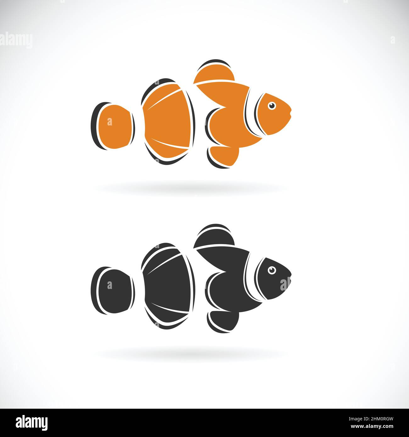 Clownfish vector vectors hi-res stock photography and images - Alamy