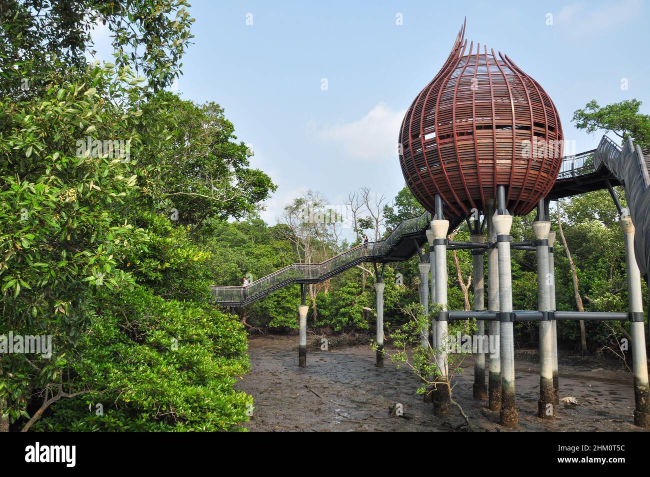 Sungei Buloh Wetland Reserve in Singapore Stock Photo - Alamy