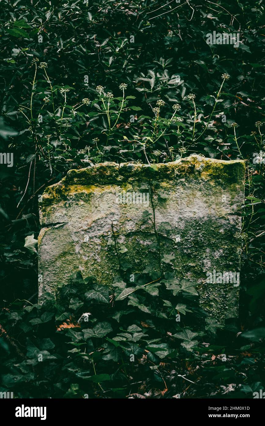 Dilapidated overgrown gravestone, Nunhead Cemetery, London, England, UK ...