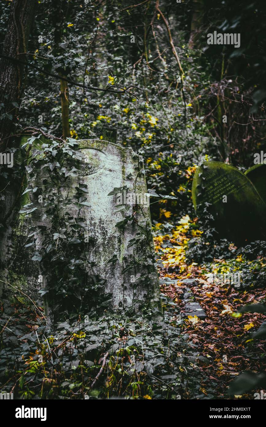 Dilapidated overgrown gravestone, Nunhead Cemetery, London, England, UK ...