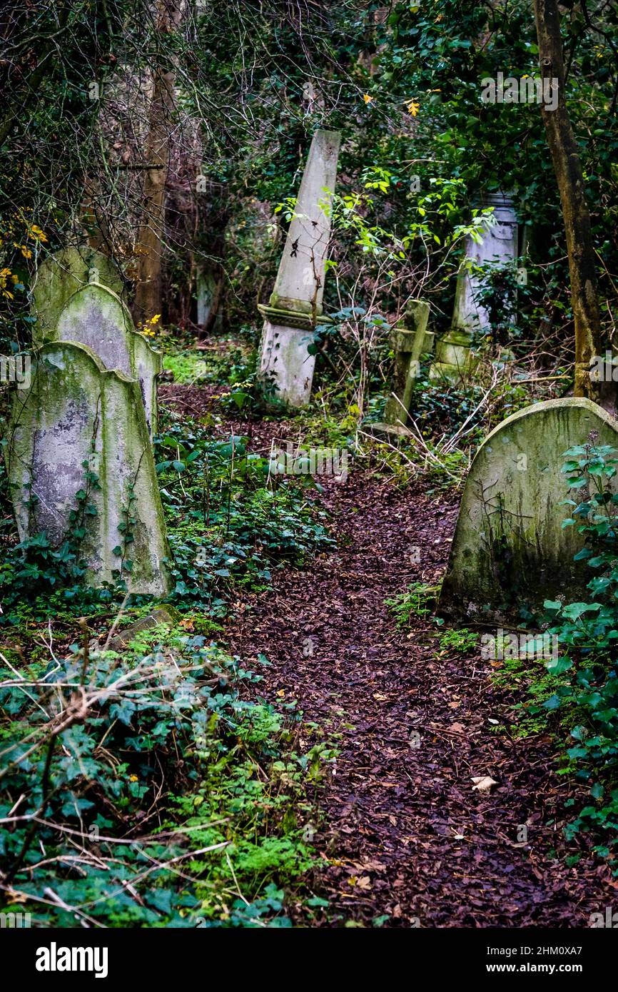 Dilapidated overgrown gravestone, Nunhead Cemetery, London, England, UK ...