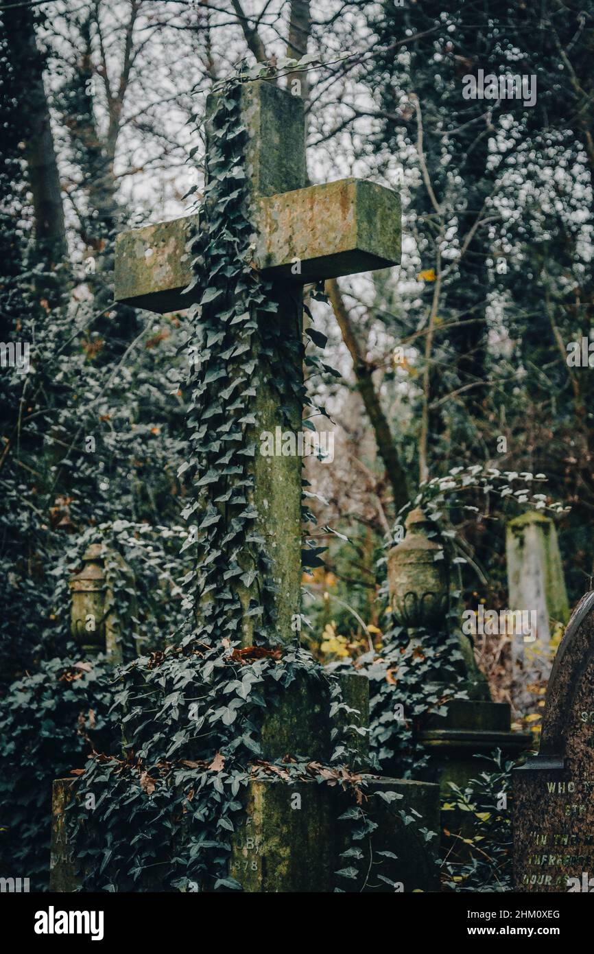 Dilapidated overgrown gravestone, Nunhead Cemetery, London, England, UK ...