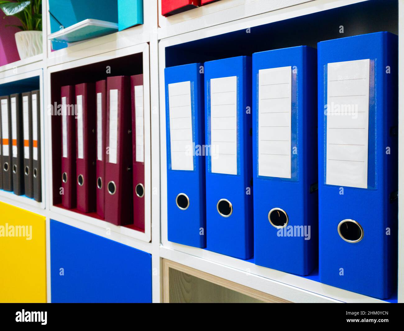 office document folders standing in a row Stock Photo - Alamy