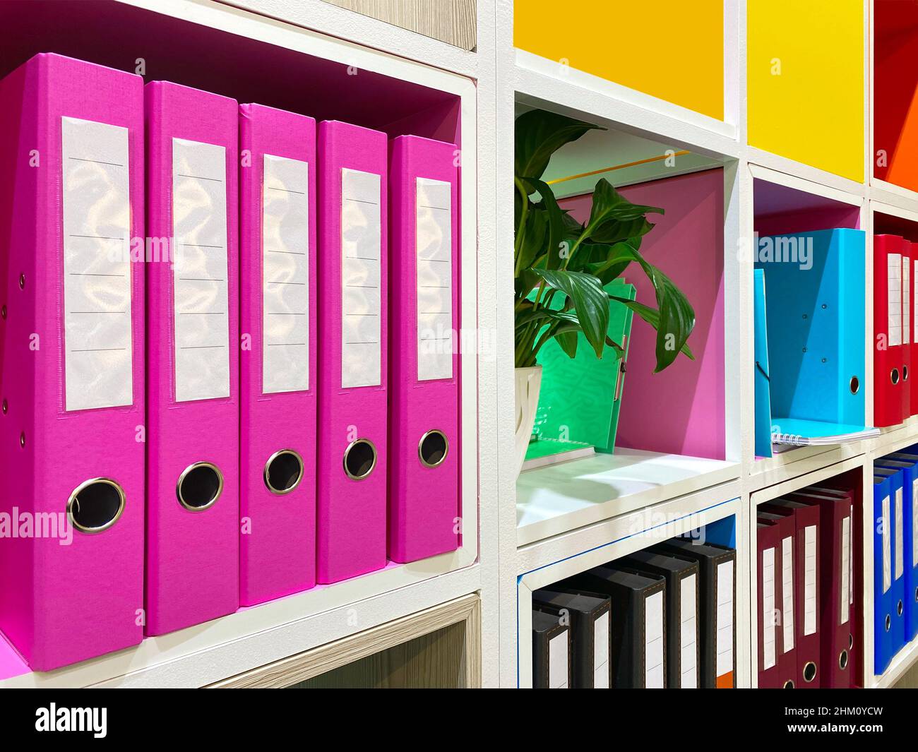 office document folders standing in a row Stock Photo - Alamy