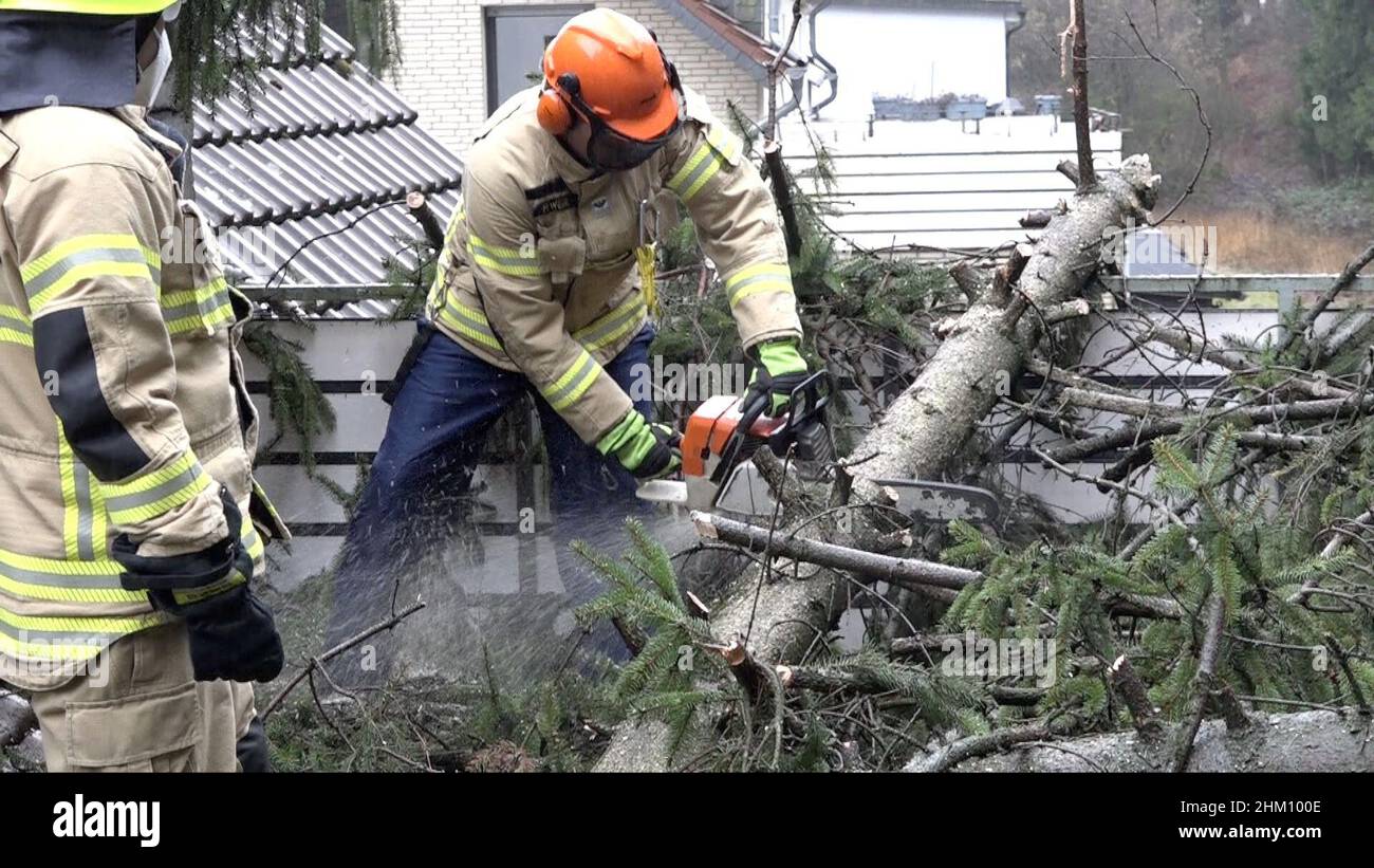06 February 2022, Lower Saxony, Hilter am Teutoburger Wald ...