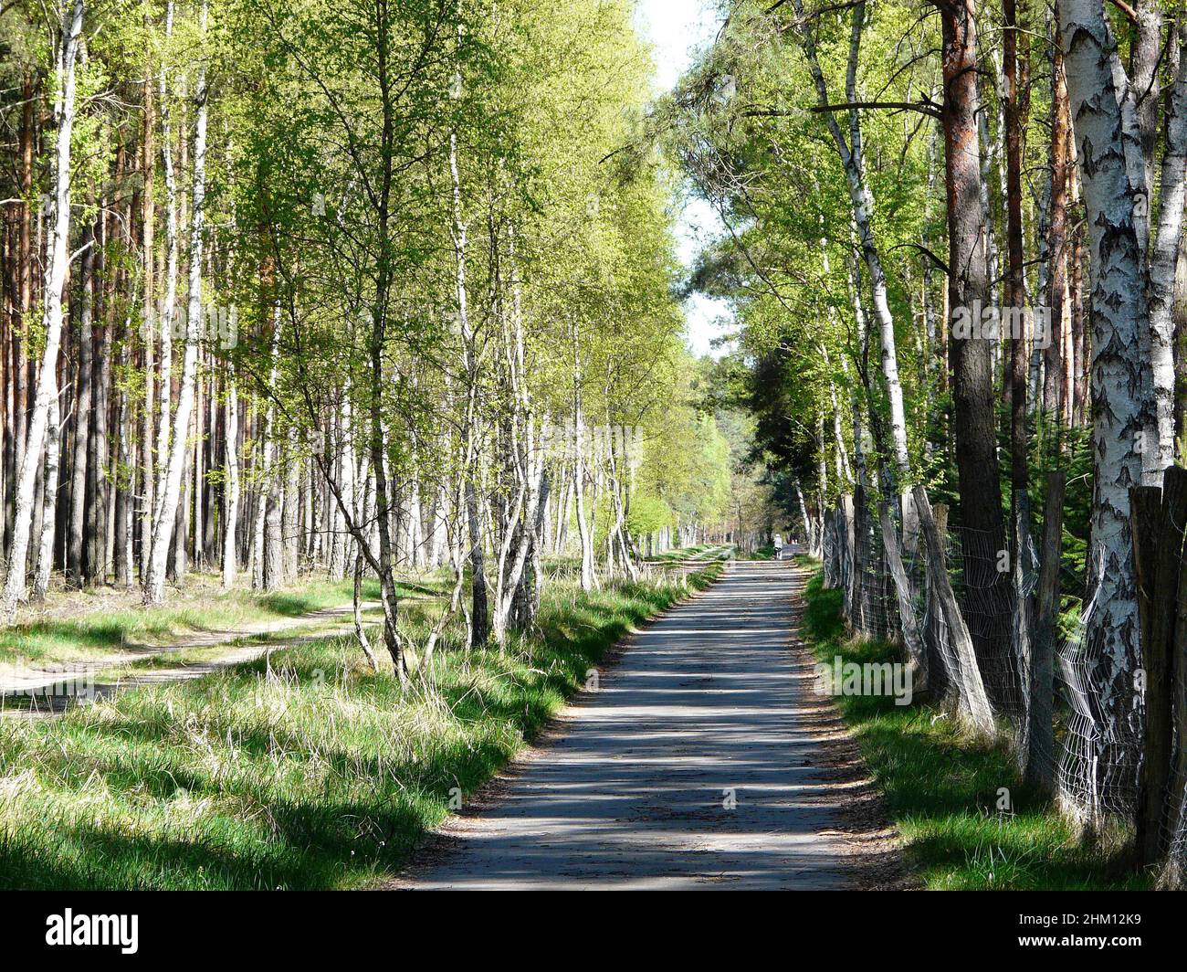 A segregated cycleway leads from Berlin, the German capital to ...