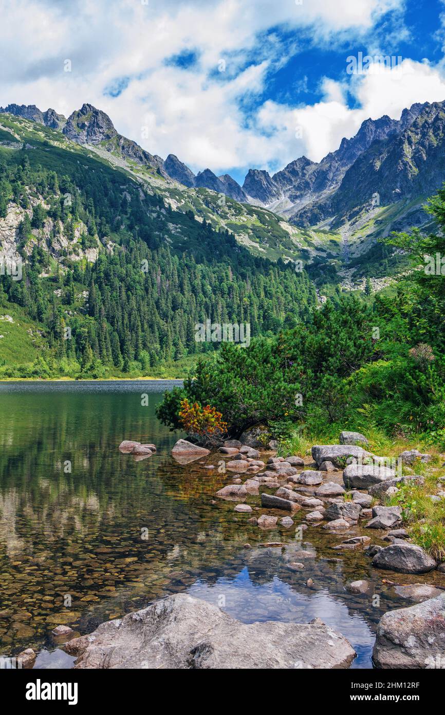 Beautiful summer landscape of High Tatras, Slovakia - Poprad lake, lush ...