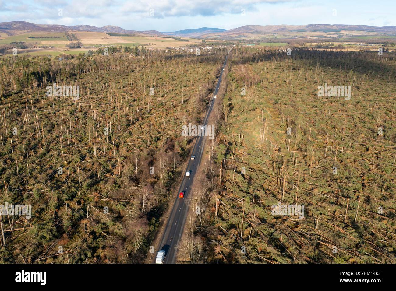 Aerial view from drone of damage to woodland at Edzell from Storm ...