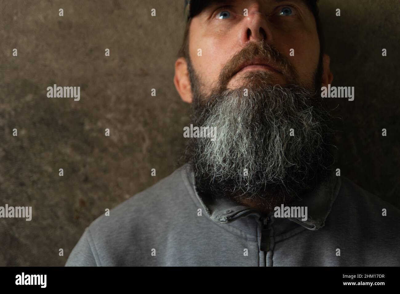 A man with a long beard looking up, male portrait Stock Photo - Alamy