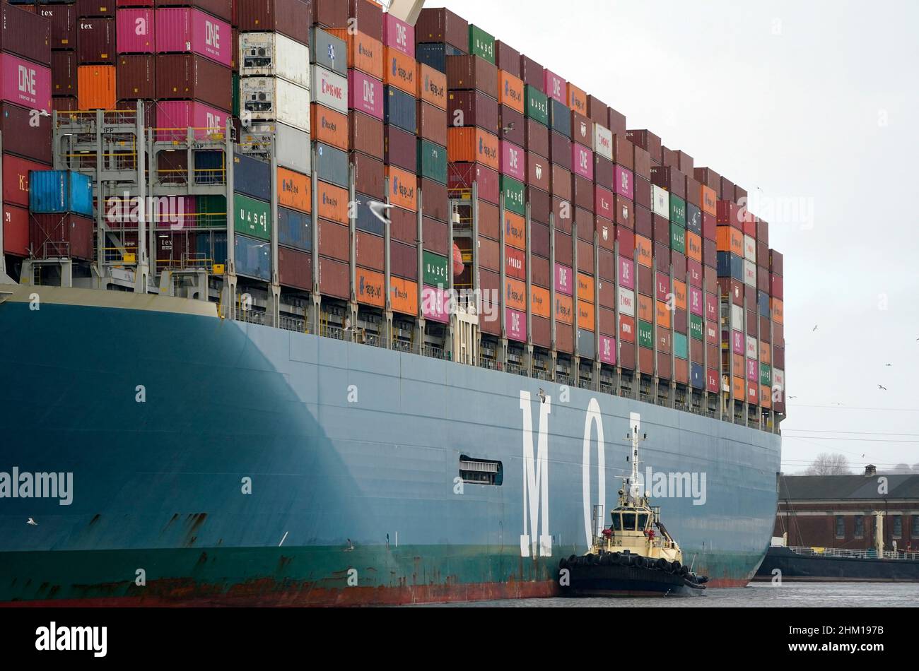 The container ship MOL Treasure at berth at DP World Container Terminal ...