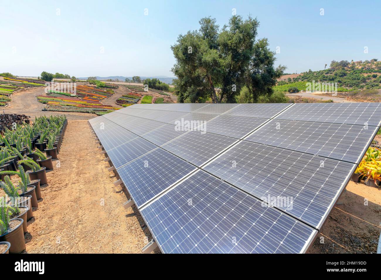 Ground-mounted solar panels in a large field of colorful ornamental ...