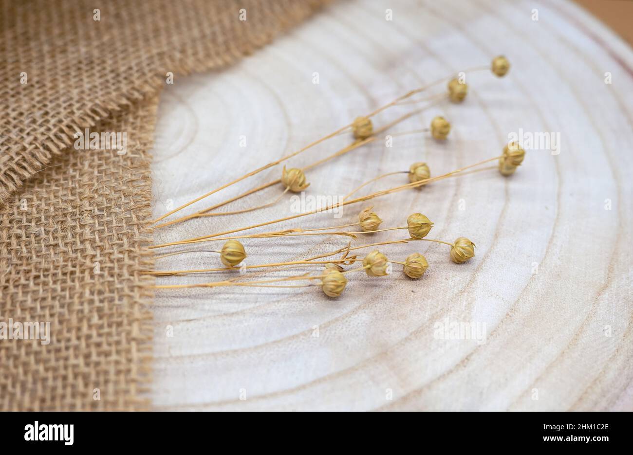 Composition from natural materials. Burlap and wood. Sprigs of dry flax ...