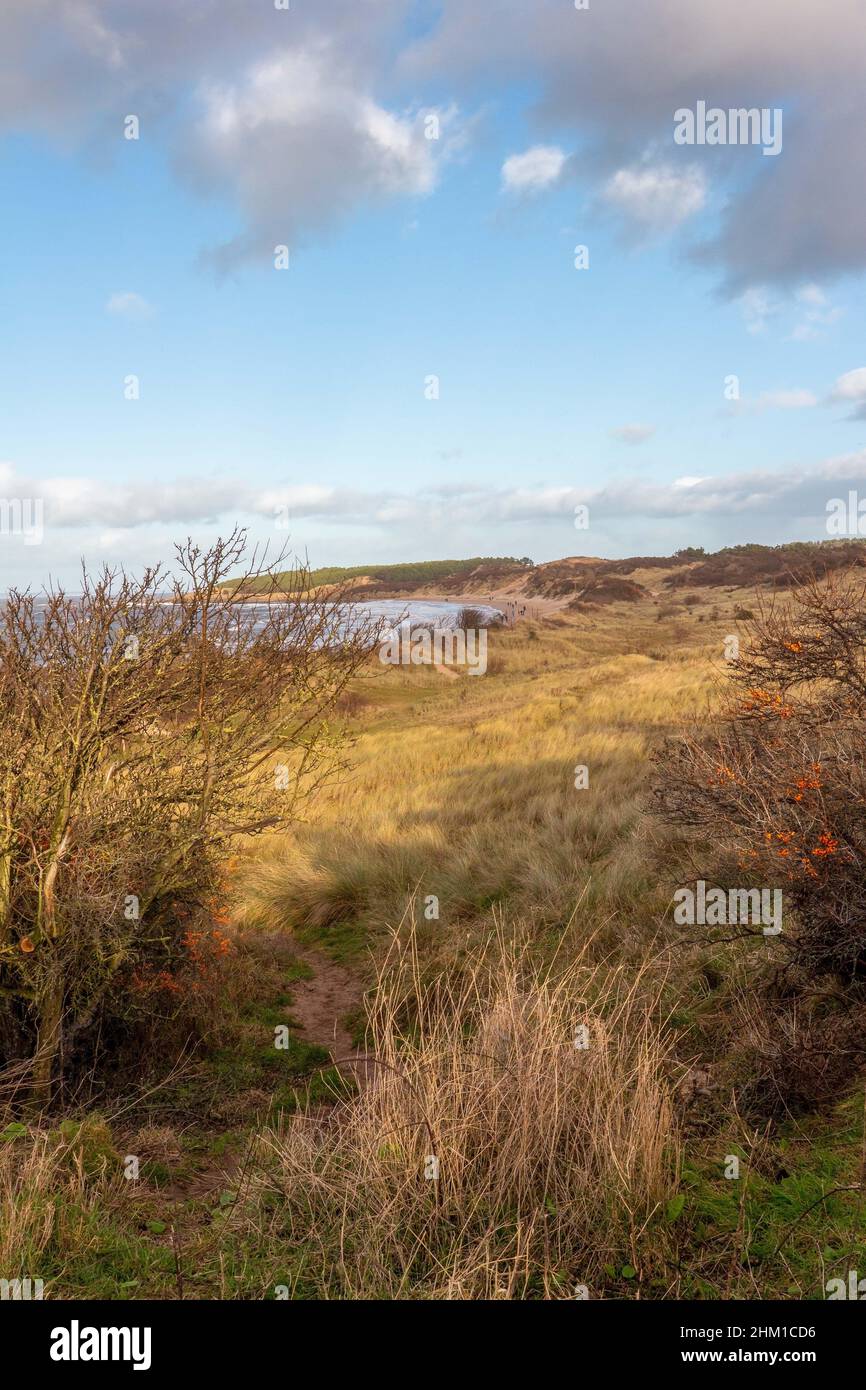 Gullane Beach for walks in Gullane, East Lothian, Scotland, UK Stock ...