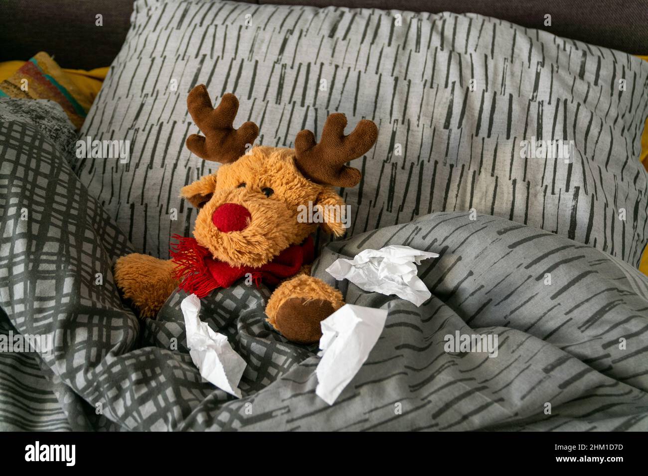 A cute reindeer Teddy bear tucked up in bed with a cold, flu, Covid ...