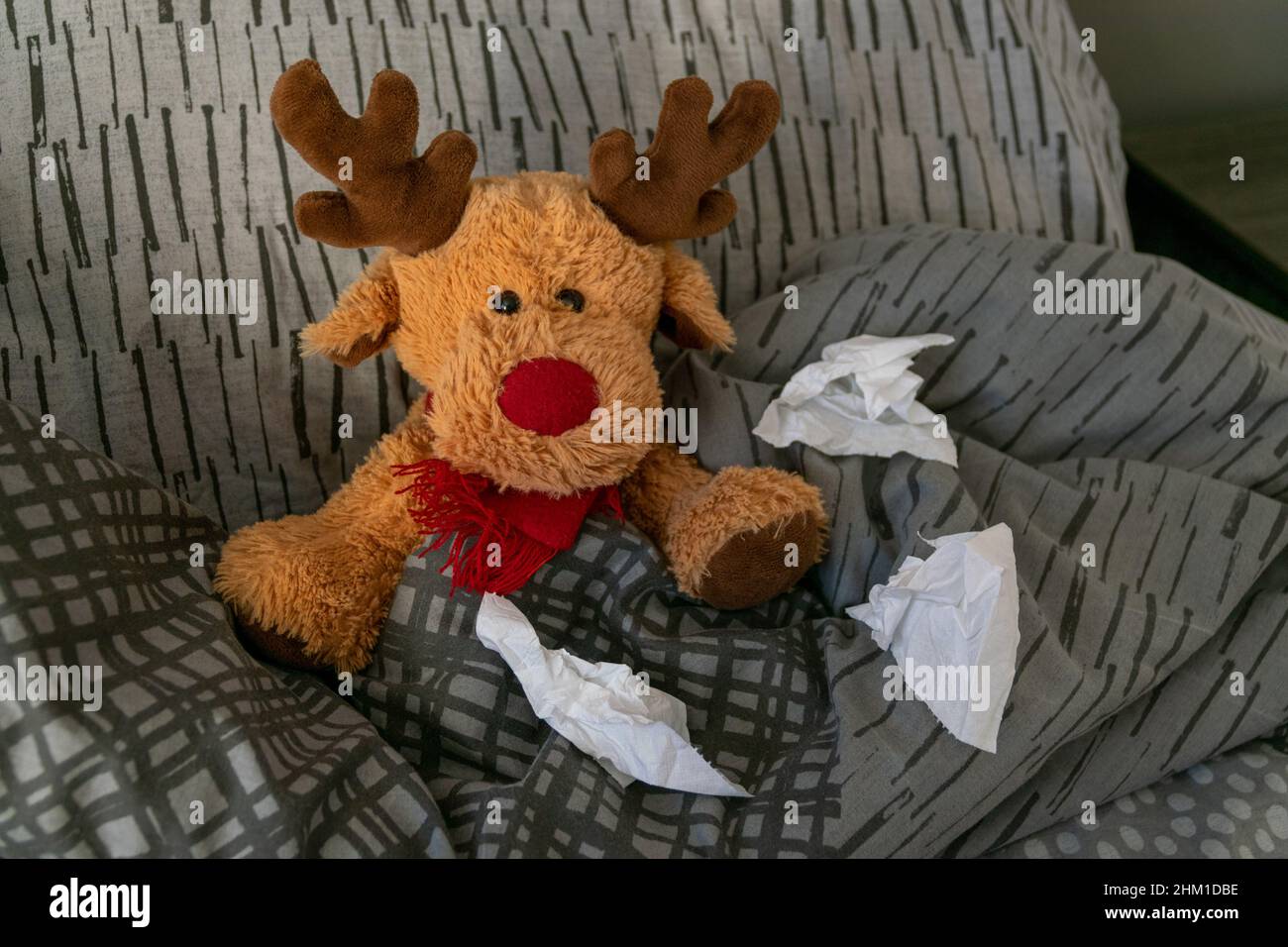 A cute reindeer Teddy bear tucked up in bed with a cold, flu, Covid ...