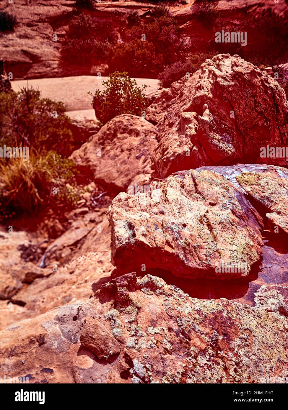 Choas, abstract patterns and textures in nature and the environment ...