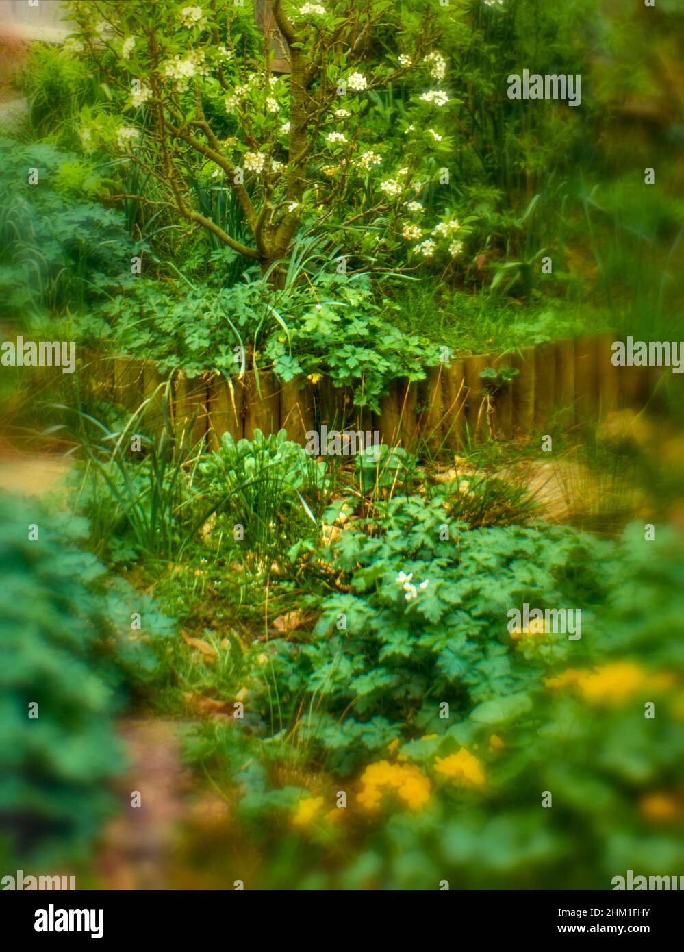 Choas, abstract patterns and textures in nature and the environment ...
