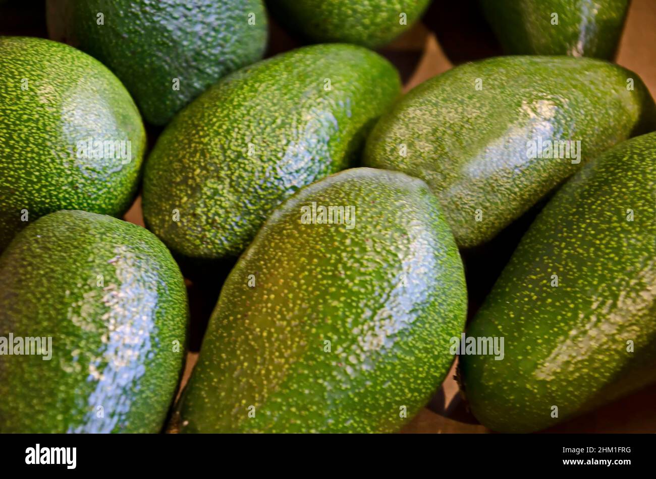 Avocado skin hi-res stock photography and images - Alamy