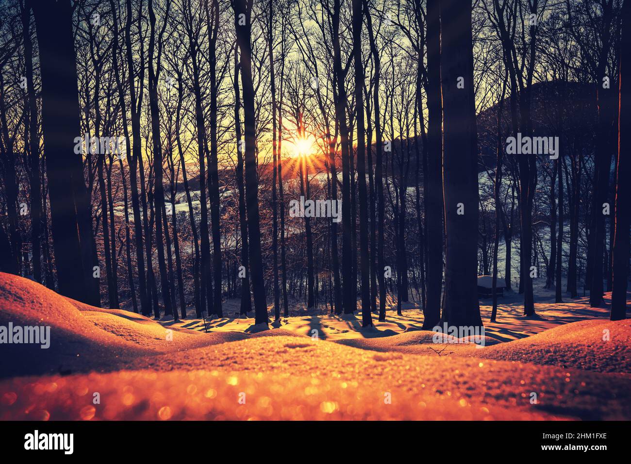 Hdr woods trees sun sky hi-res stock photography and images - Alamy