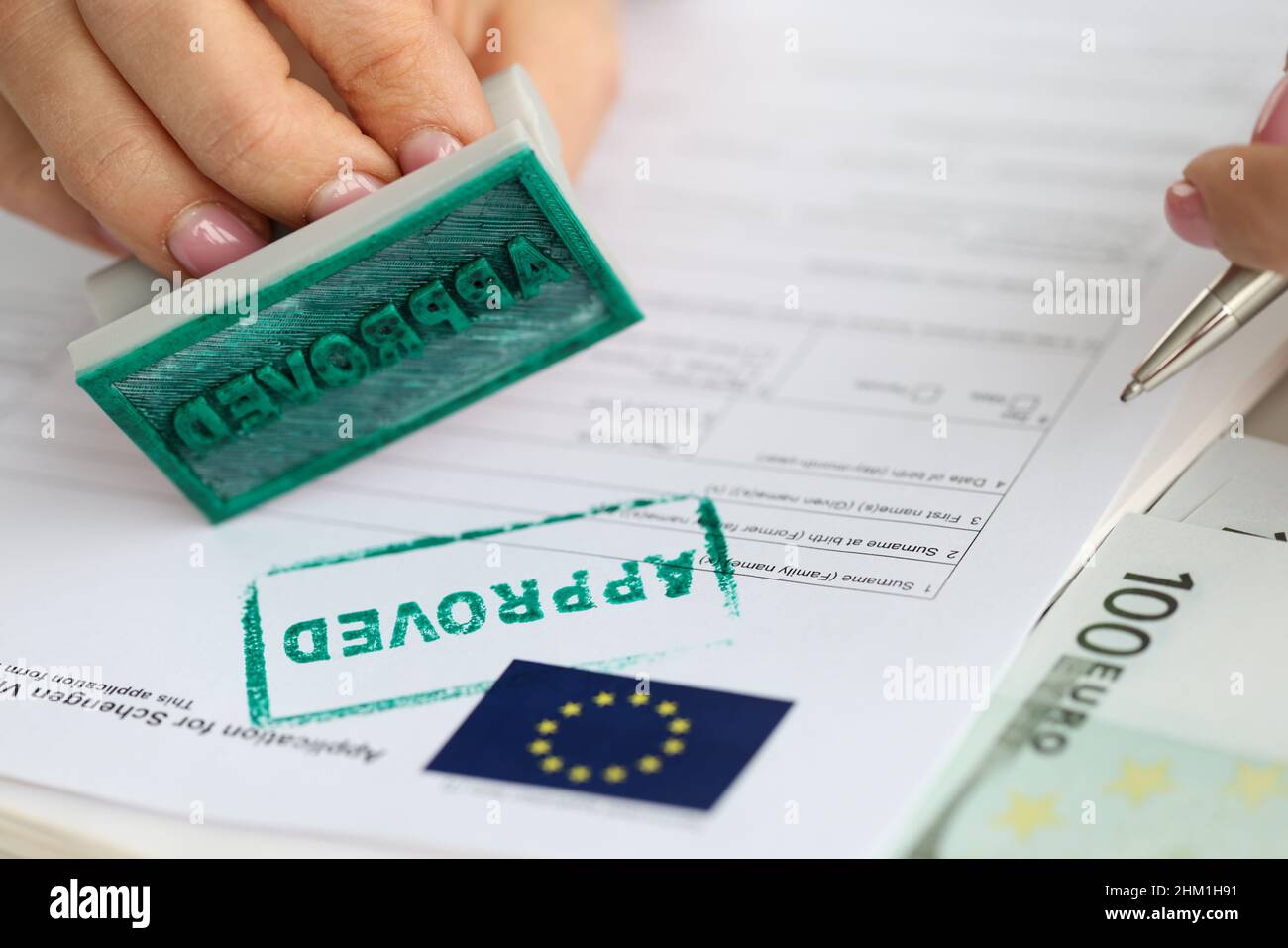 EU visa application approved. Document applying for entry into European ...