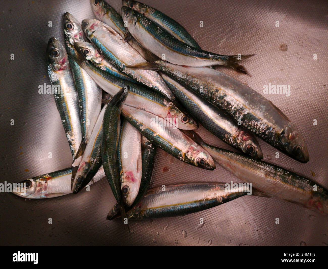 Mediterranean Fish in open seamarket, Napoli Stock Photo - Alamy