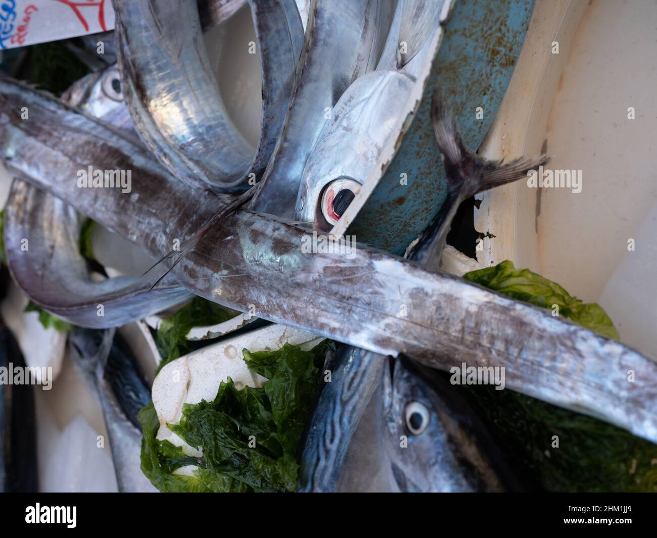 Mediterranean Fish in open seamarket, Napoli Stock Photo - Alamy