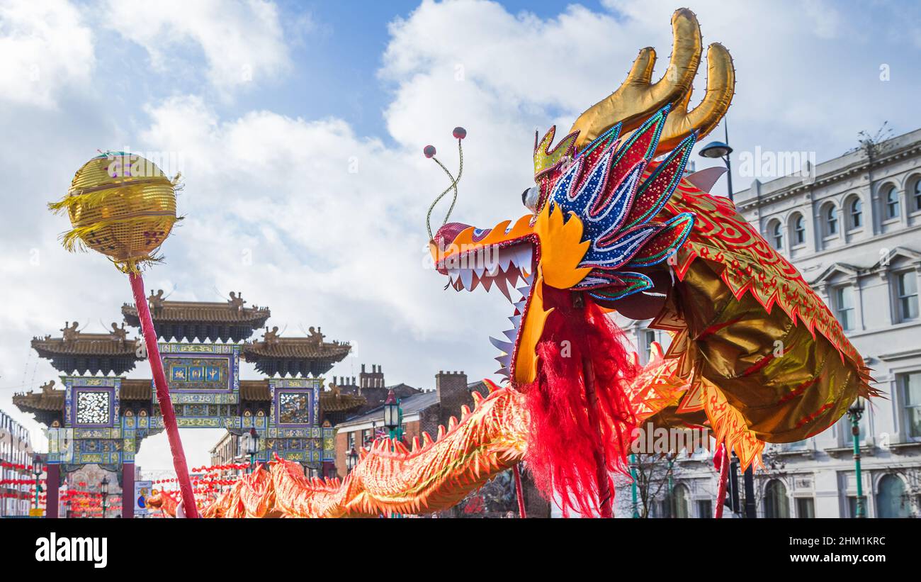Dragon chasing the pearl during the Chinese New Year celebrations in ...