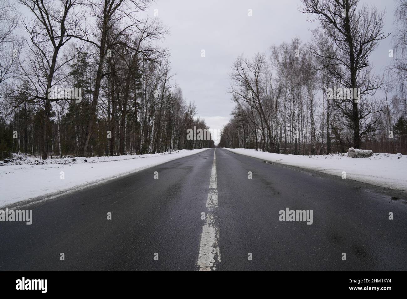 Chernobyl Exclusion Zone, Ukraine. 6th Feb, 2022. The P 56 road to the ...