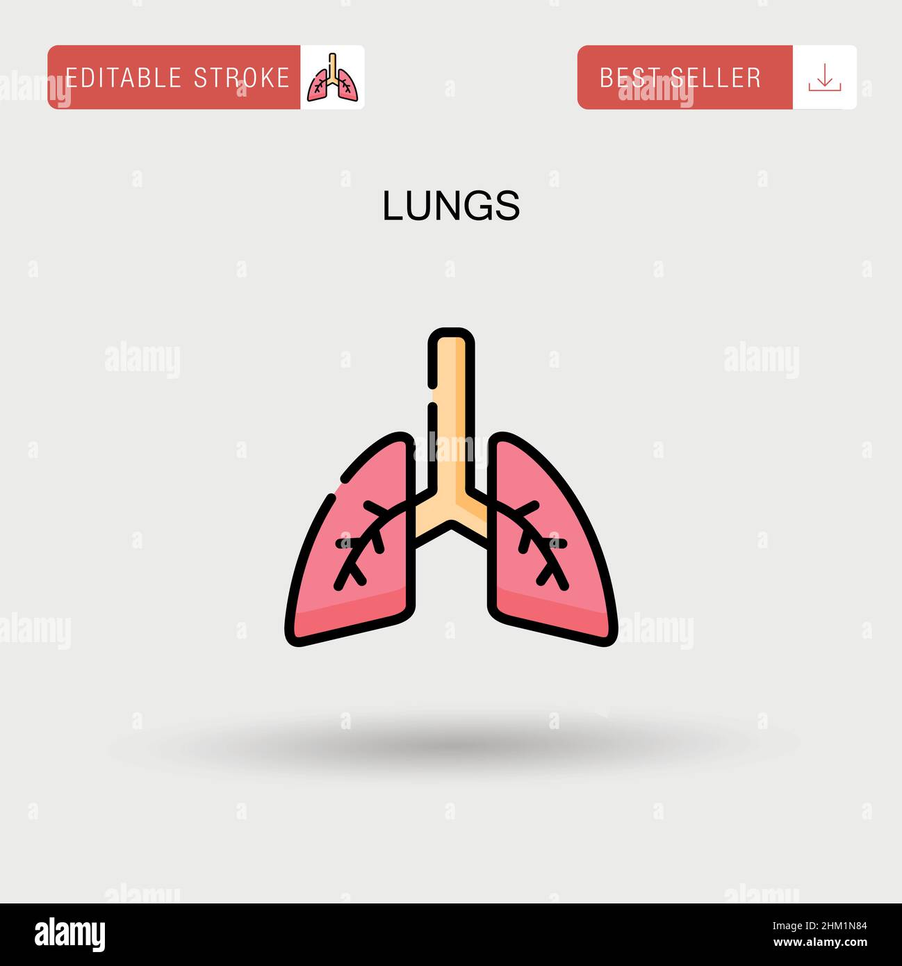 Lungs Simple vector icon Stock Vector Image & Art - Alamy