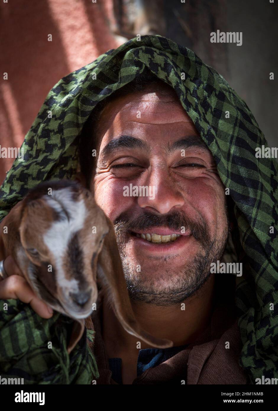 Egyptian goat hi-res stock photography and images - Alamy